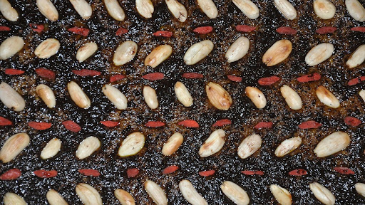 American Holly Tree Seeds: Planting & Growing Guide